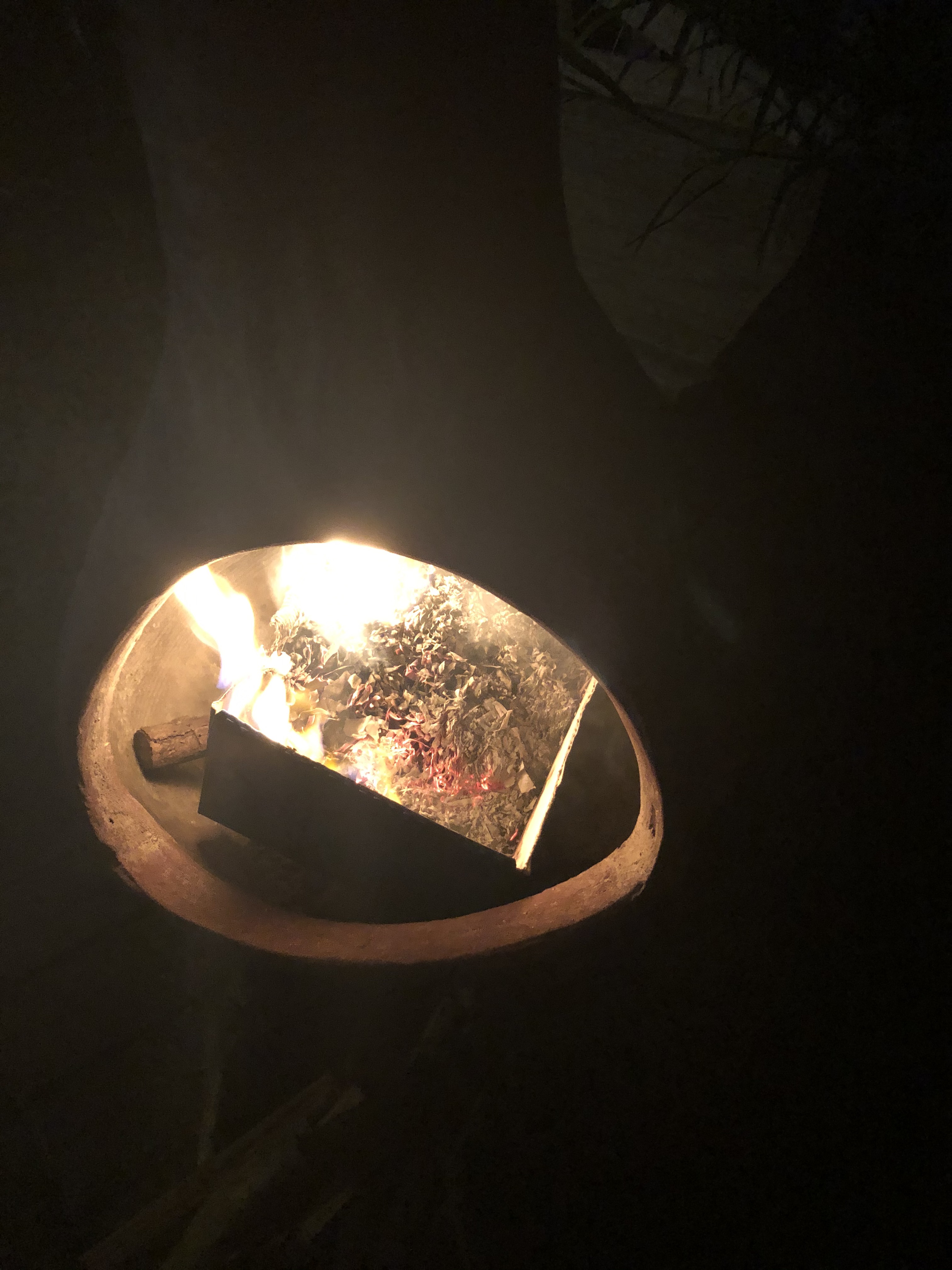 Reflections on a Book Burning. – Confessions of a Free Range Prolapsed ...
